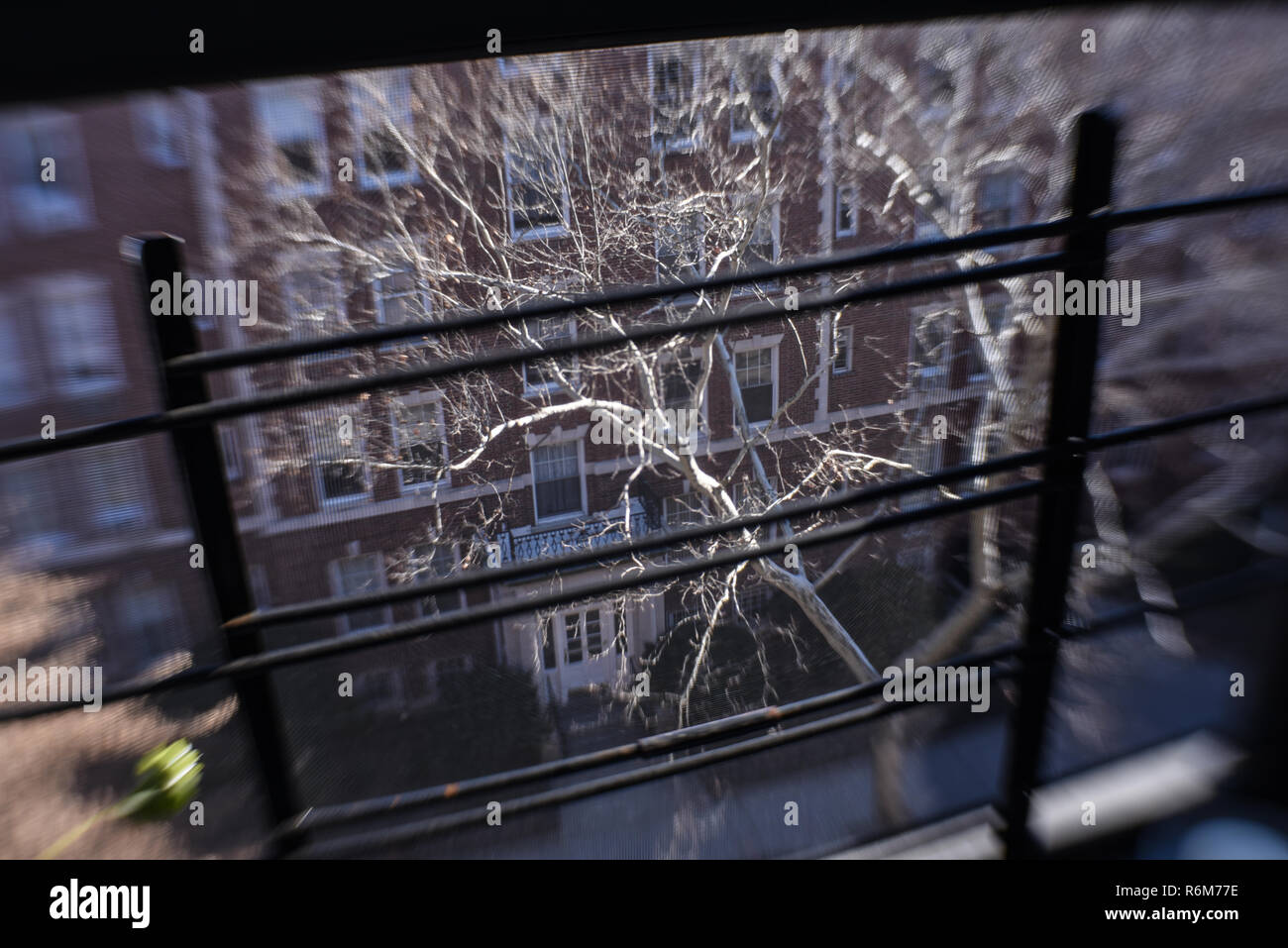 Distorted image of window view, New York Stock Photo - Alamy