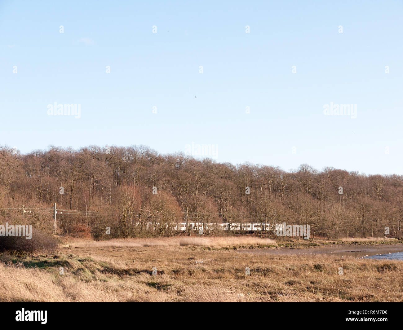 moving white train in the distance landscape nature trees Stock Photo ...