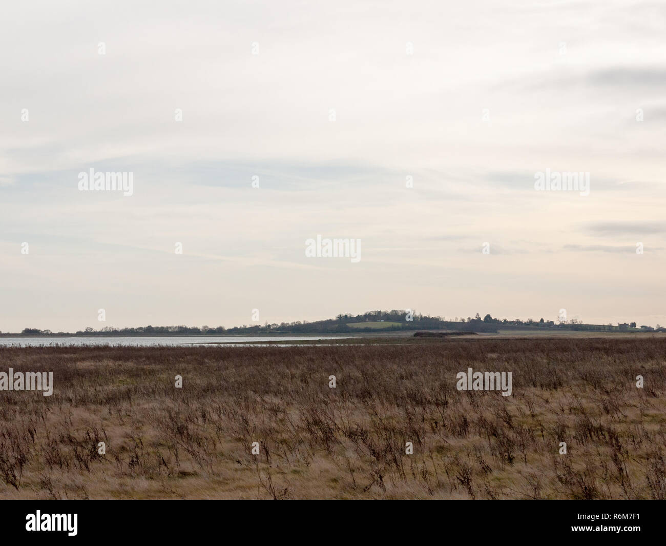 open sea coast plain with grass in front horizon overcast clear calm ...