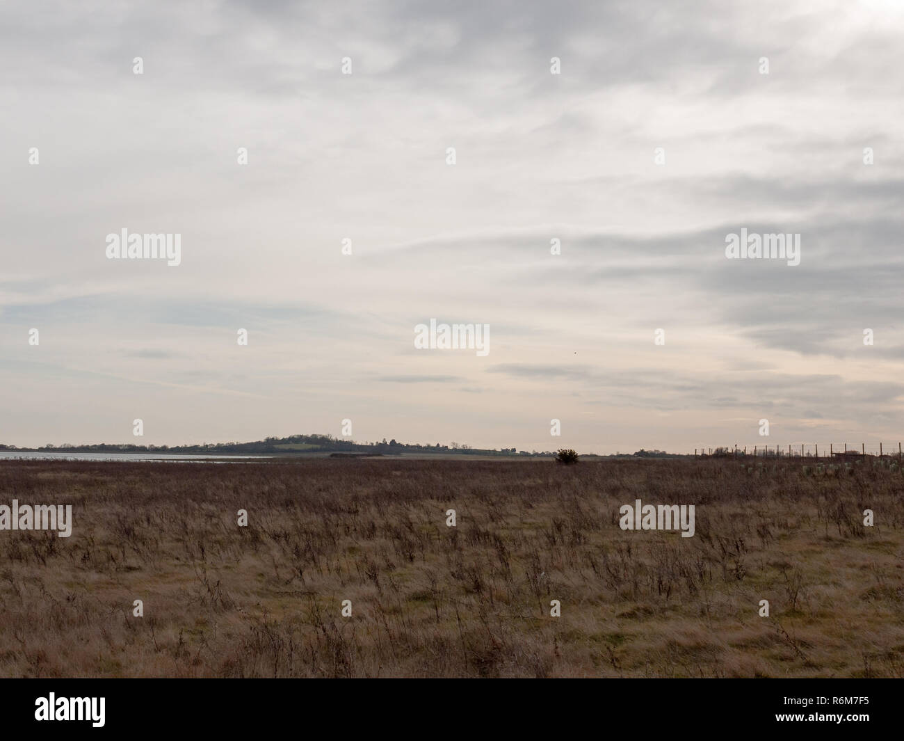 open sea coast plain with grass in front horizon overcast clear calm ...