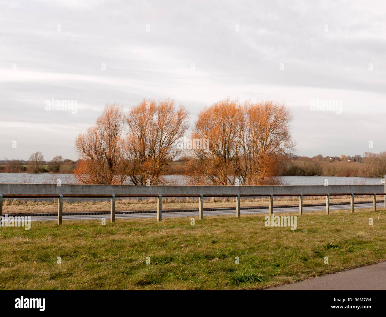 line of trees golden fence barrier road highway Stock Photo - Alamy