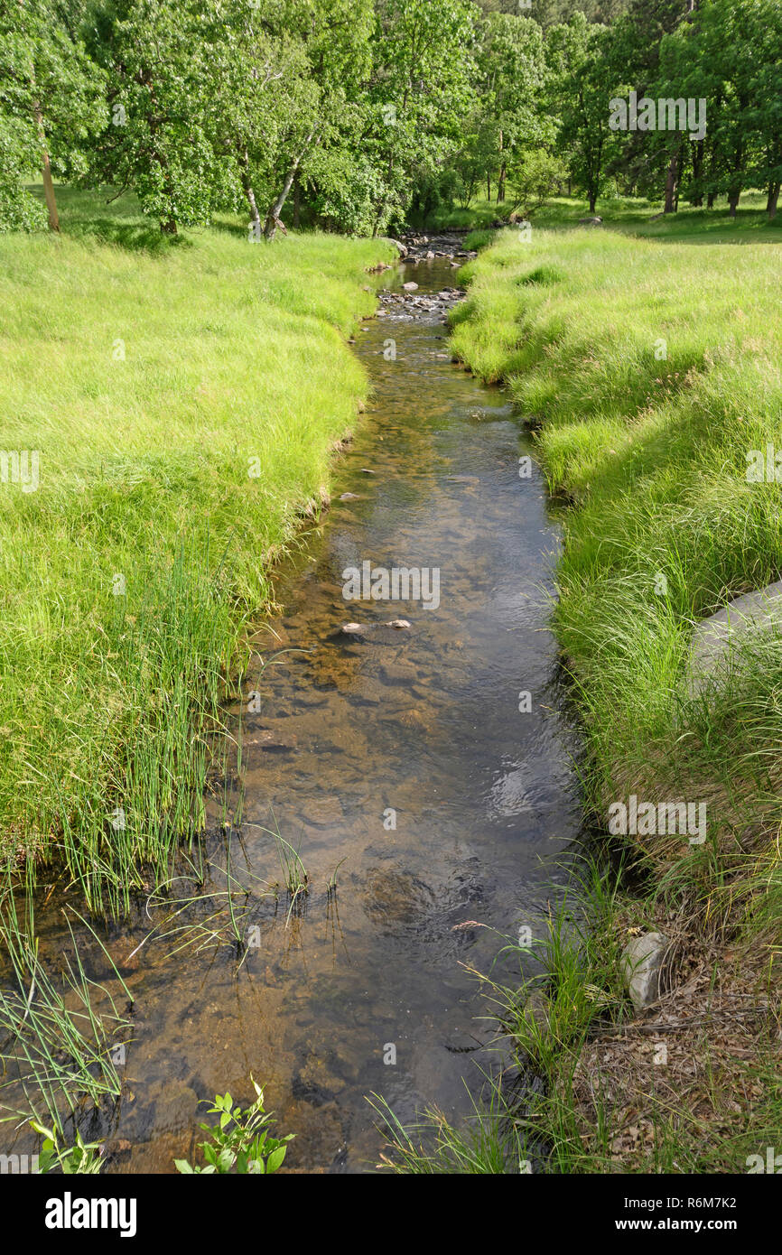 Bright light stream hi-res stock photography and images - Alamy