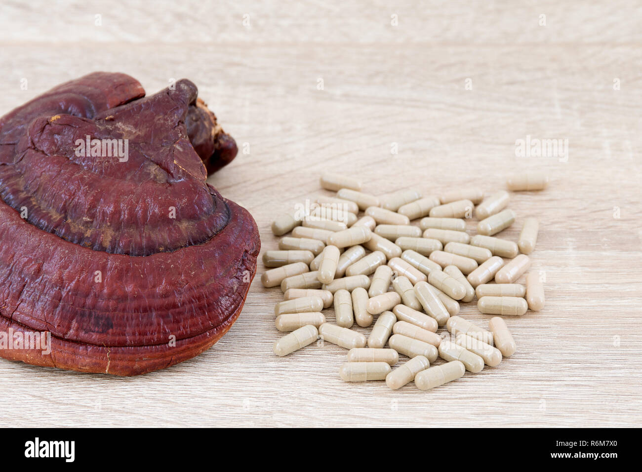 Ganoderma lucidum capsule - Ling zhi mushroom Stock Photo - Alamy