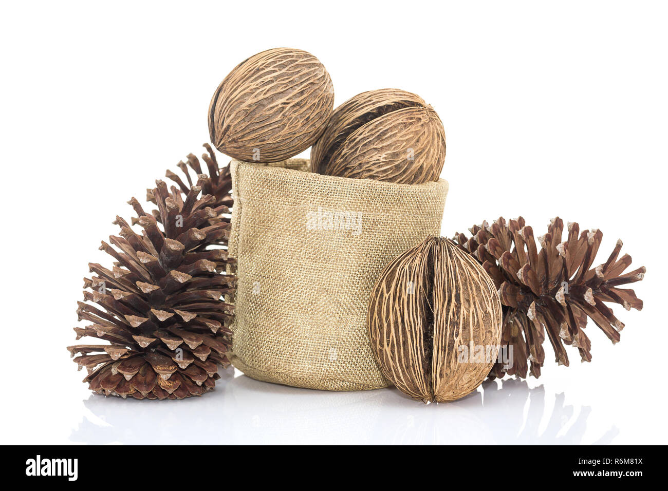 Othalanga - Suicide tree seed and cedar pine cone in sacks fodder Stock ...