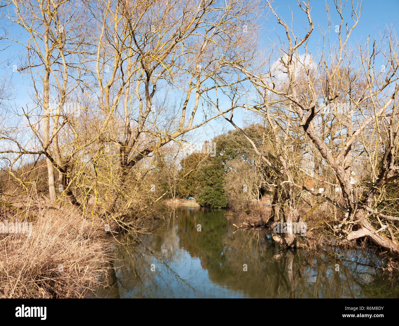small running stream river through countryside spring bare trees ...