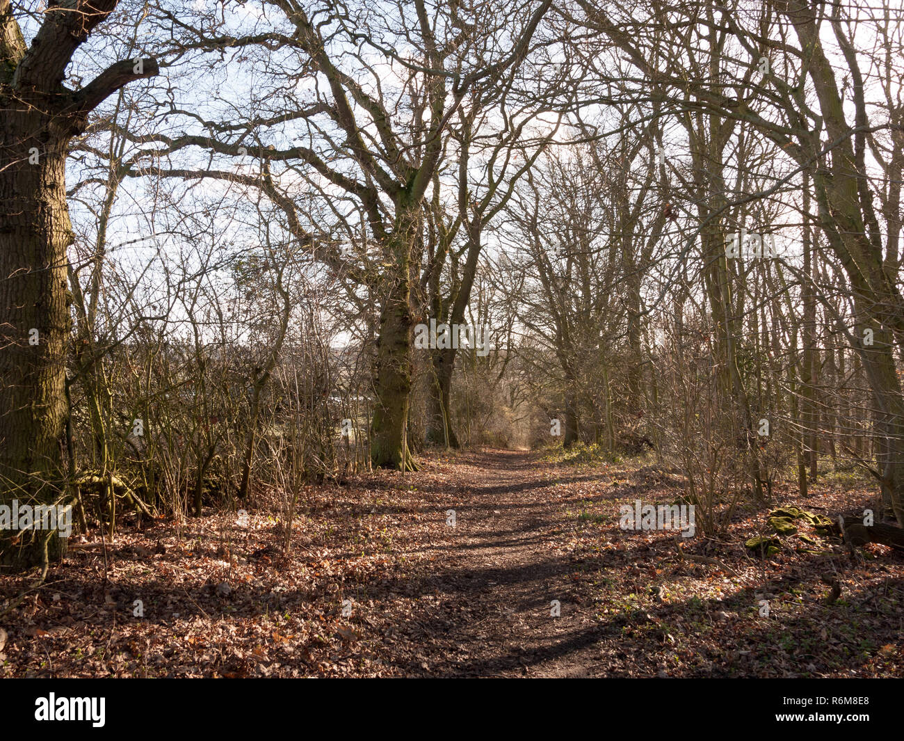 Scenic view muddy path hi-res stock photography and images - Alamy