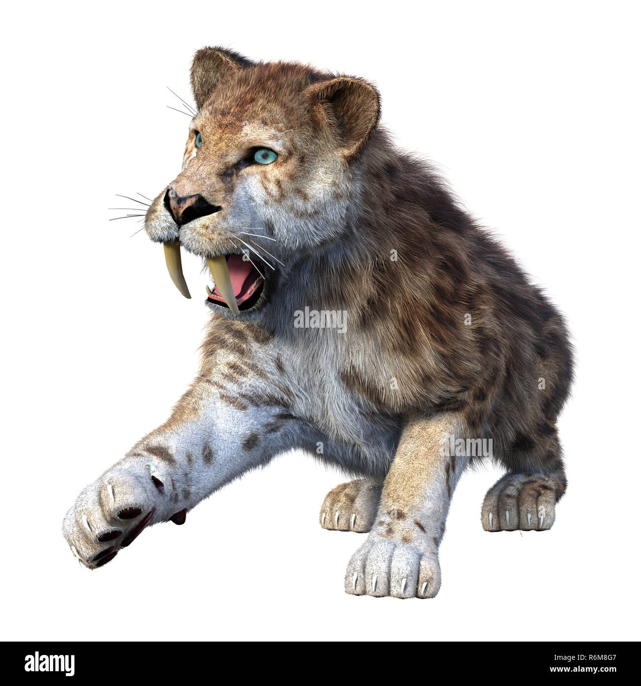 3D Rendering Sabertooth Tiger on White Stock Photo - Alamy