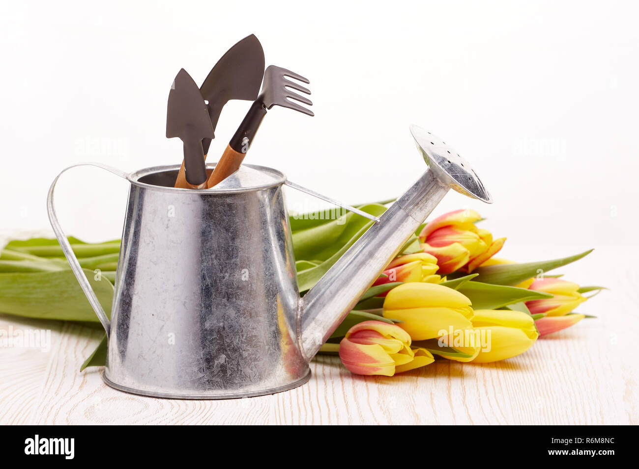 Gardening tools and flowers Stock Photo - Alamy