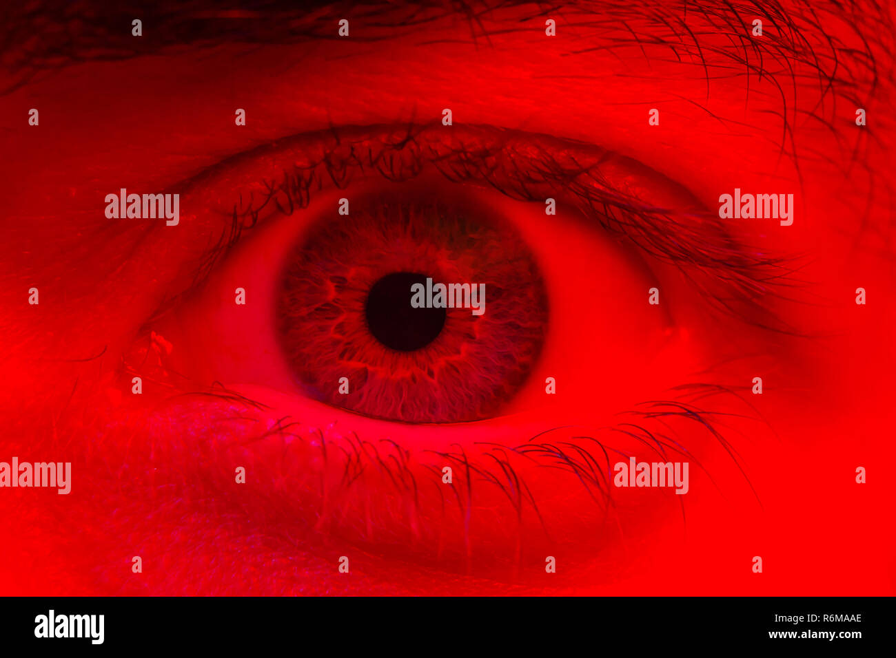 Man close up surprised eye hi-res stock photography and images - Alamy