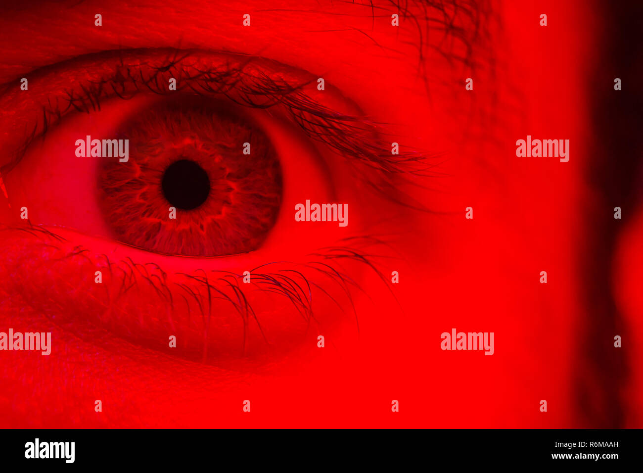 Macro on man eye expressing shocked surprise and fear expression Stock ...