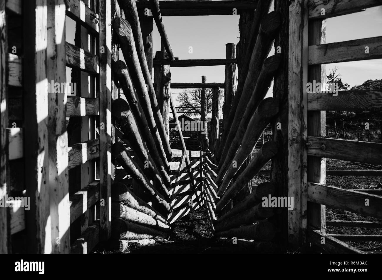 Black and white vacant cattle stables and pens on a ranch Stock Photo ...