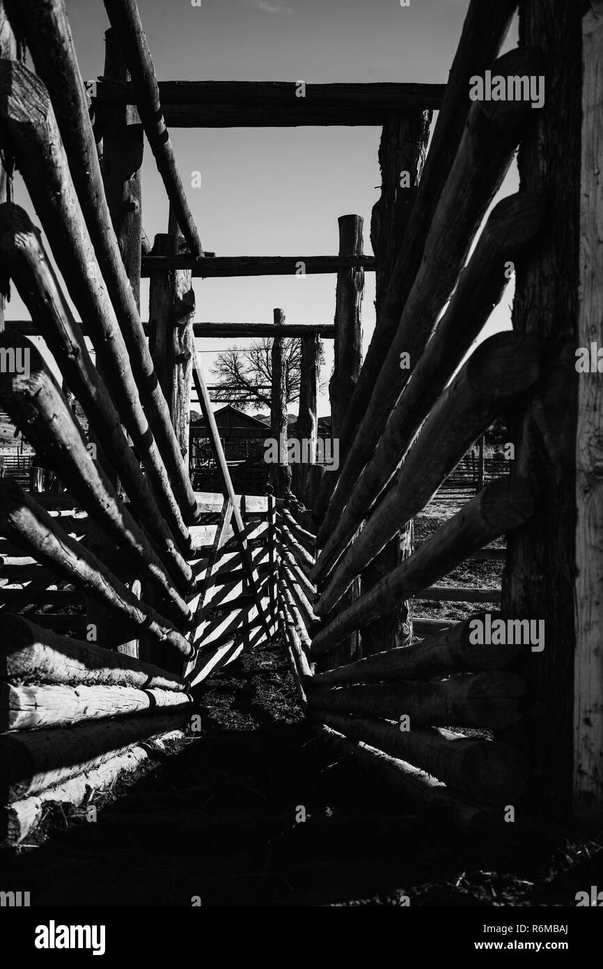 Black and white vacant cattle stables and pens on a ranch Stock Photo ...