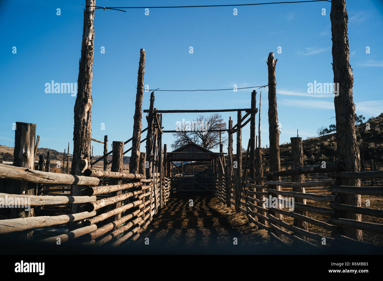 Vacant cattle stables and pens on a ranch Stock Photo - Alamy