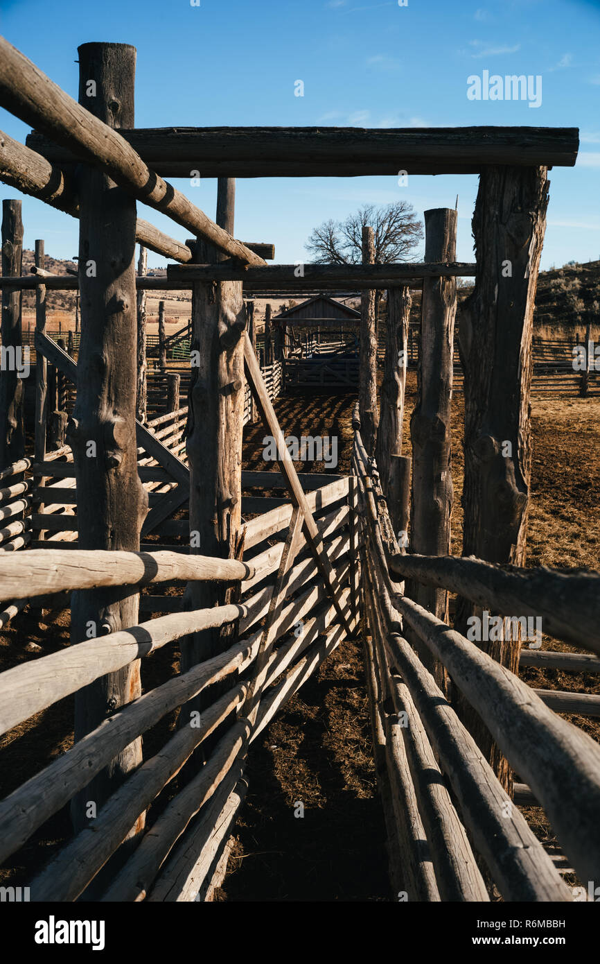 Cattle pen hi-res stock photography and images - Alamy
