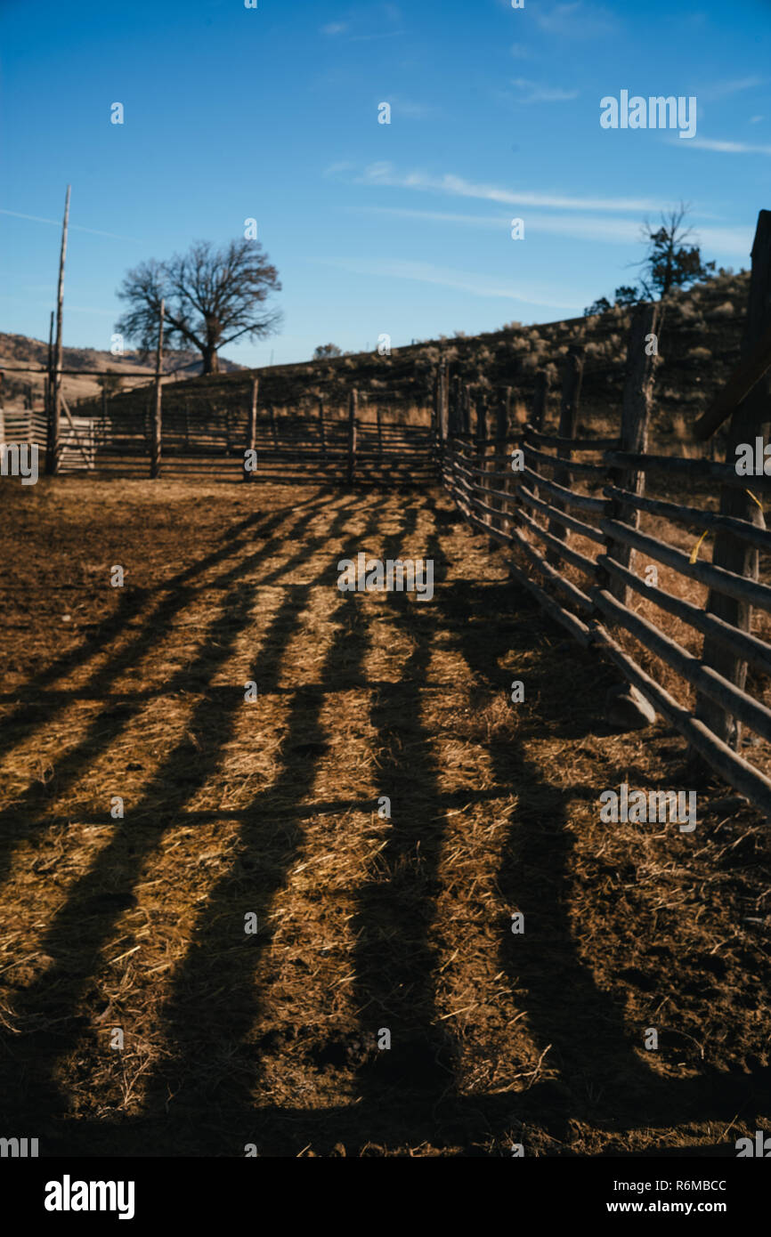 Vacant cattle stables and pens on a ranch Stock Photo - Alamy