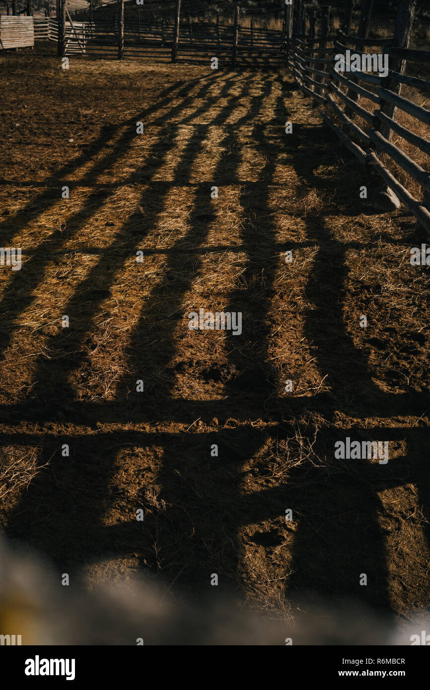 Vacant cattle stables and pens on a ranch Stock Photo - Alamy