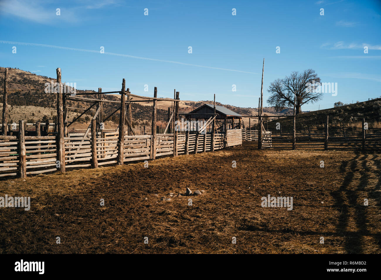 Cattle ranch life hi-res stock photography and images - Alamy