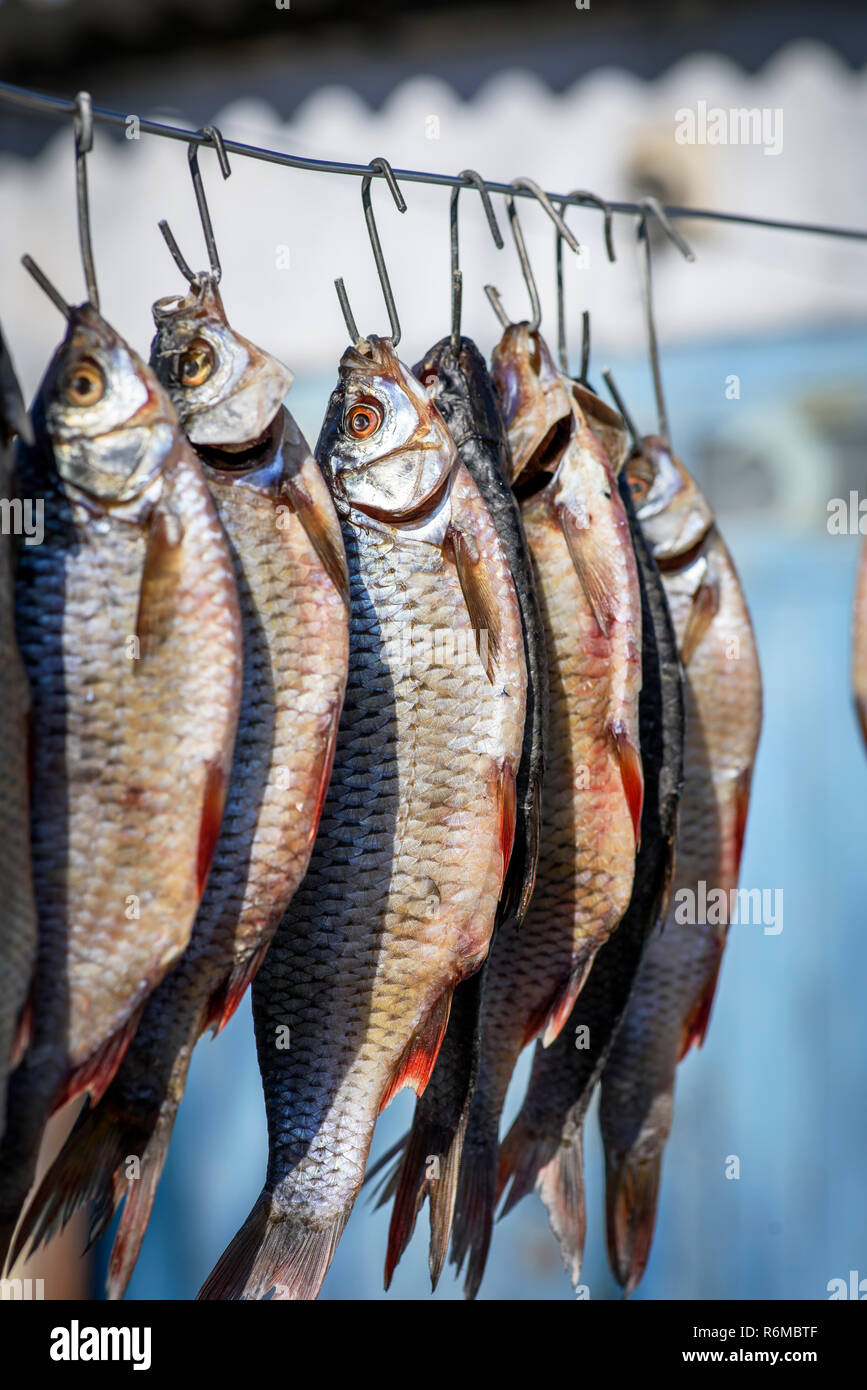Sea fish hanging on hooks hi-res stock photography and images - Alamy