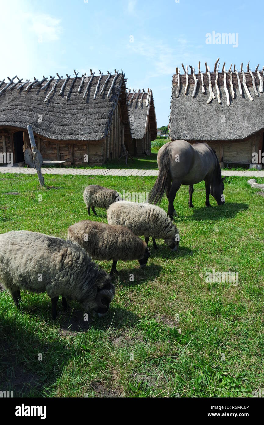 wooden huts and animals Stock Photo - Alamy