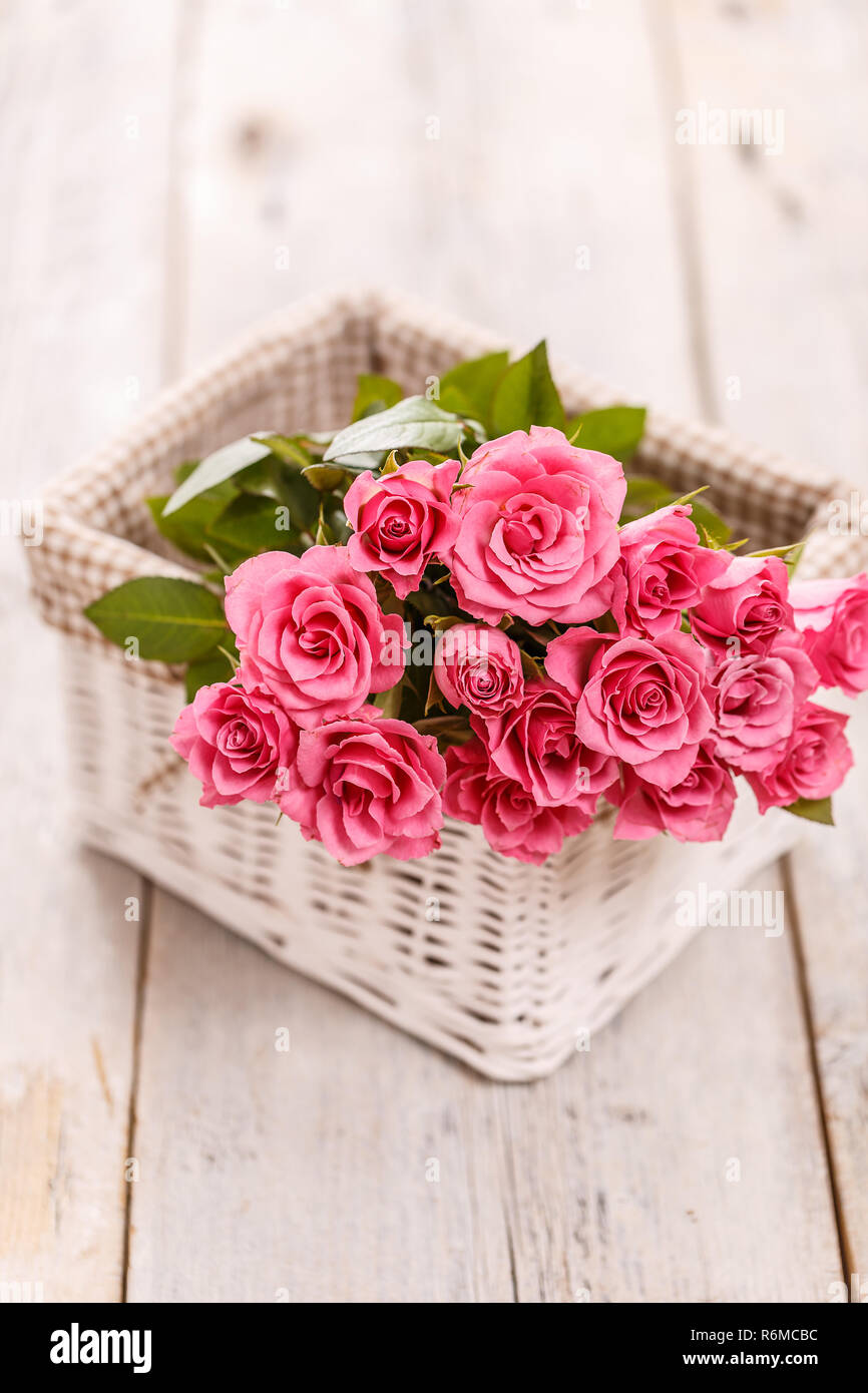 Still life with pink roses Stock Photo - Alamy