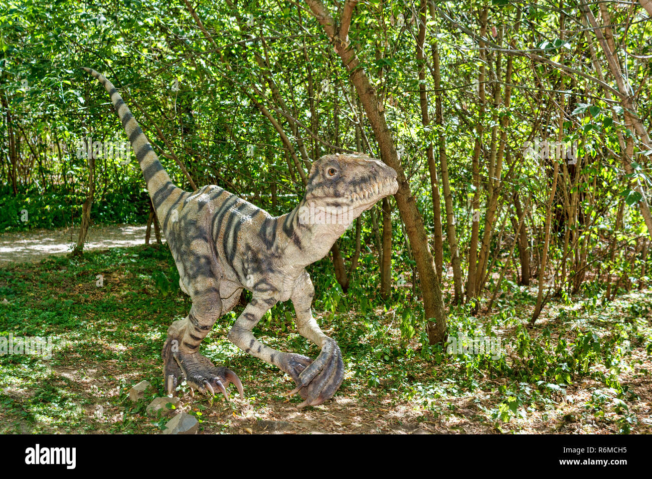 prehistoric dinosaurs raptor Stock Photo - Alamy