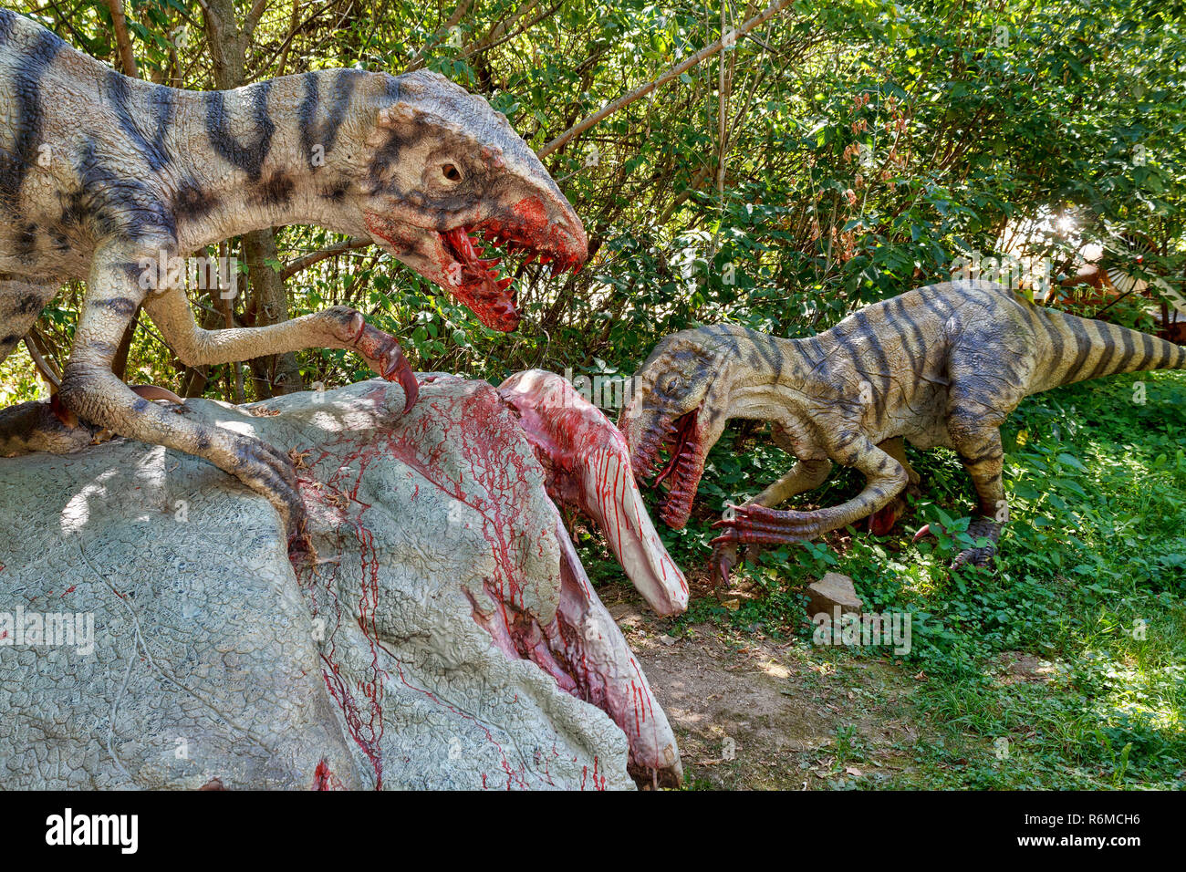 Velociraptor dinosaurs dinosaur monster prehistoric monster hi-res ...