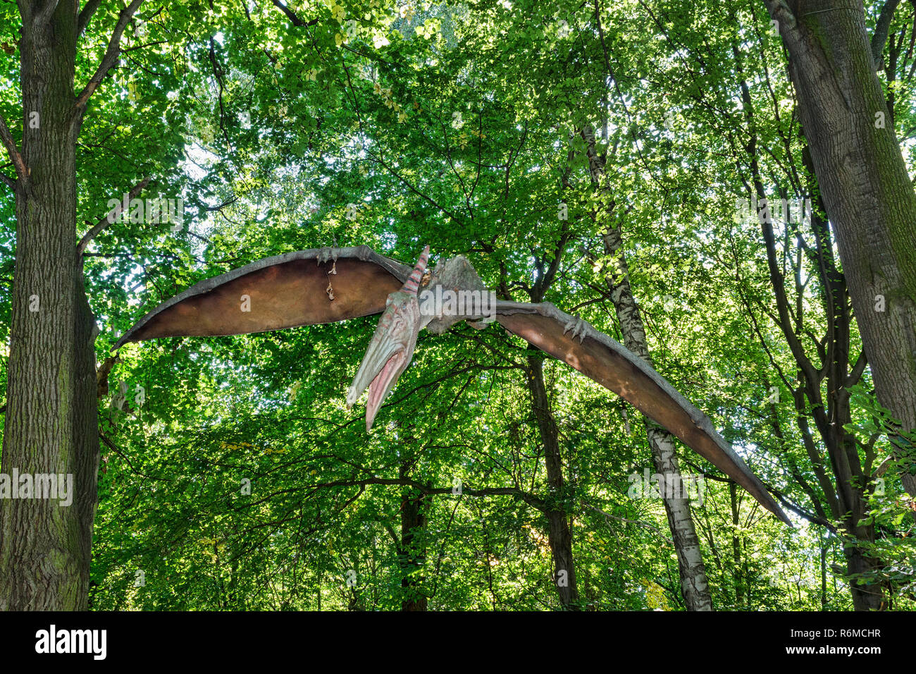 prehistoric flying dinosaur Pteranodon in nature Stock Photo - Alamy