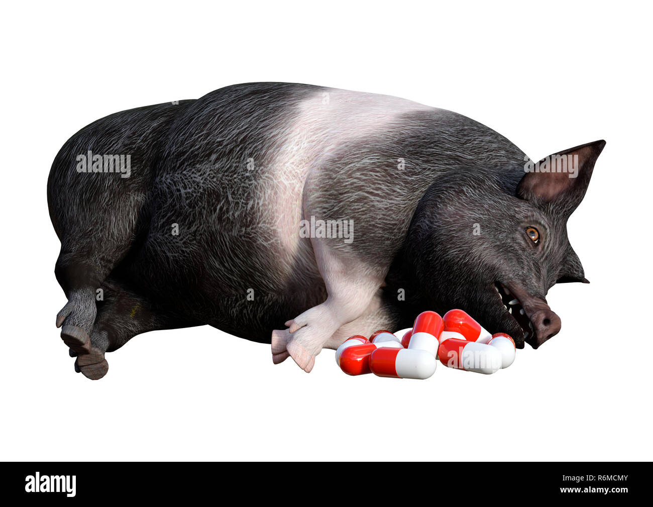 3D Rendering Pig and Pills on White Stock Photo - Alamy