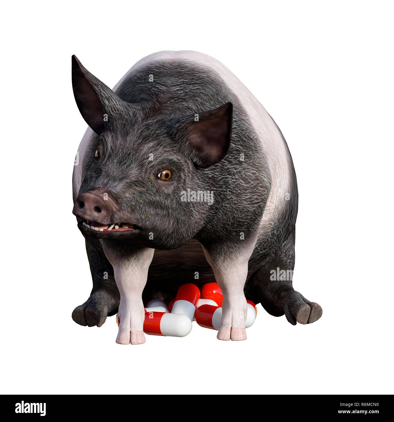3D Rendering Pig and Pills on White Stock Photo - Alamy