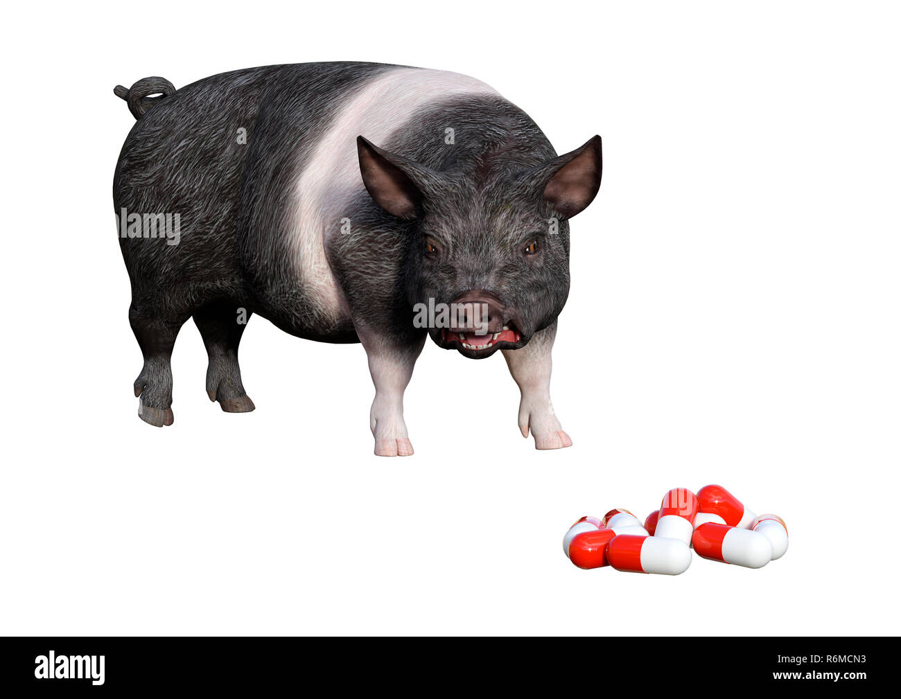 3D Rendering Pig and Pills on White Stock Photo - Alamy