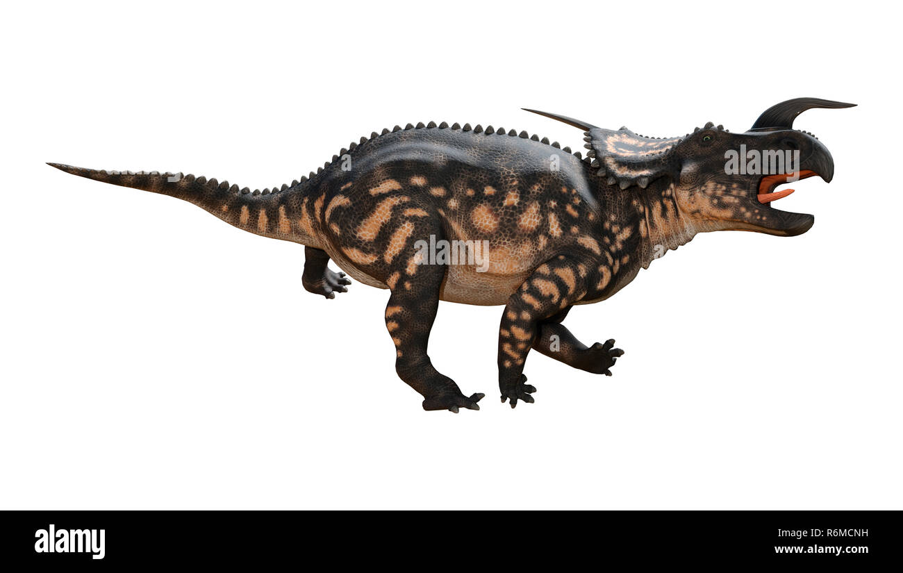 Einiosaurus High Resolution Stock Photography and Images - Alamy