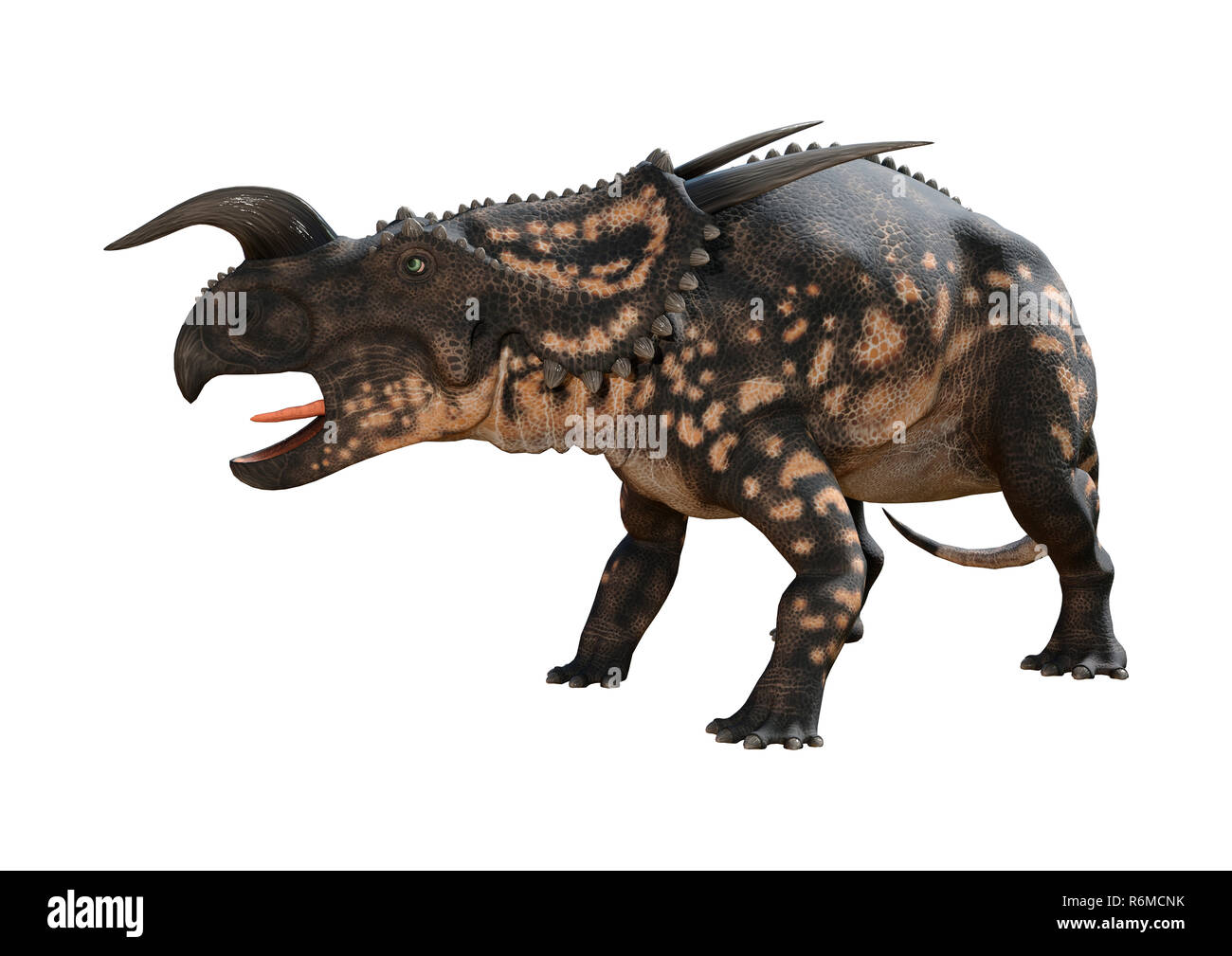 3D Rendering Dinosaur Einiosaurus on White Stock Photo - Alamy