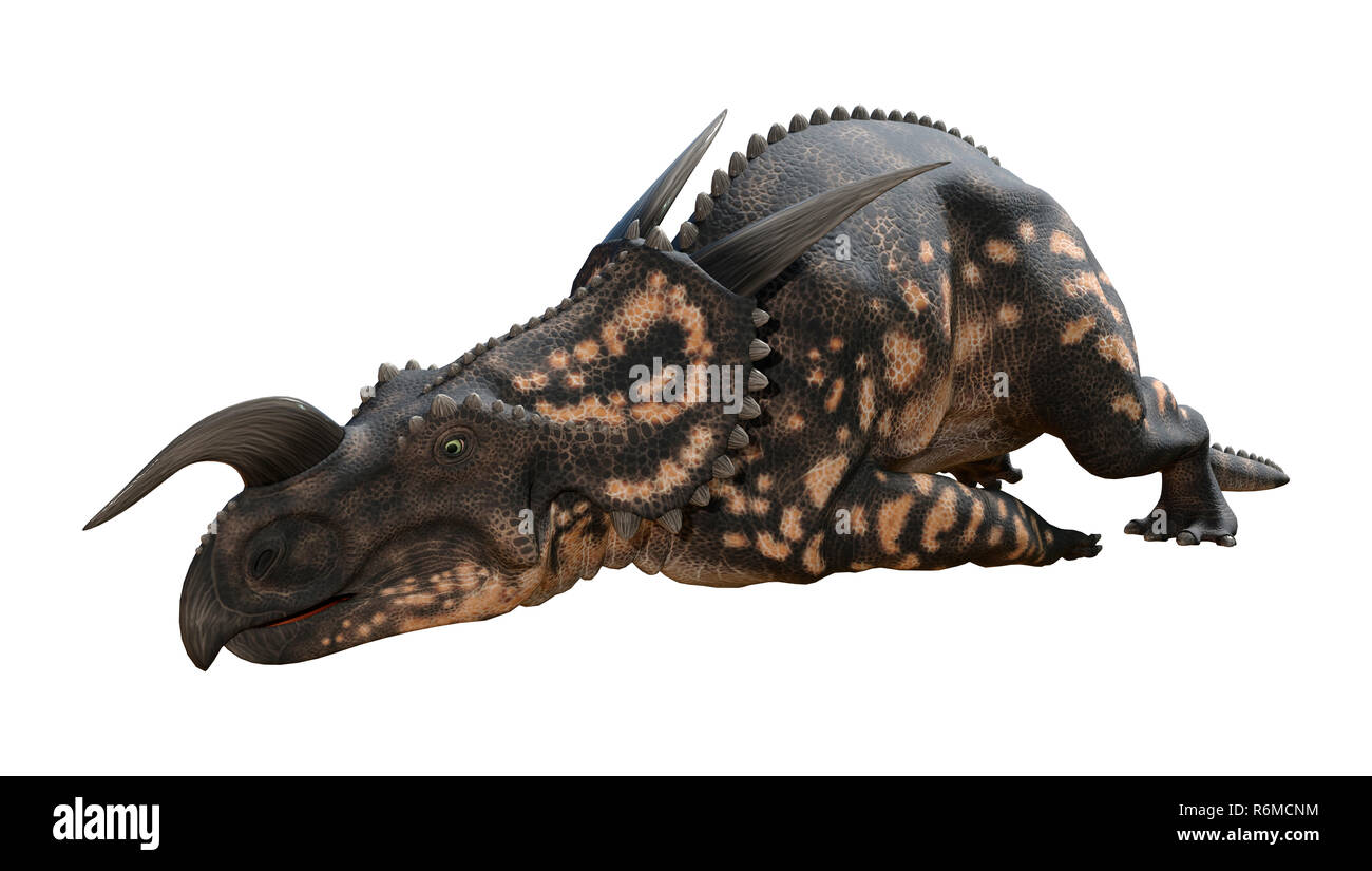 3D Rendering Dinosaur Einiosaurus on White Stock Photo - Alamy