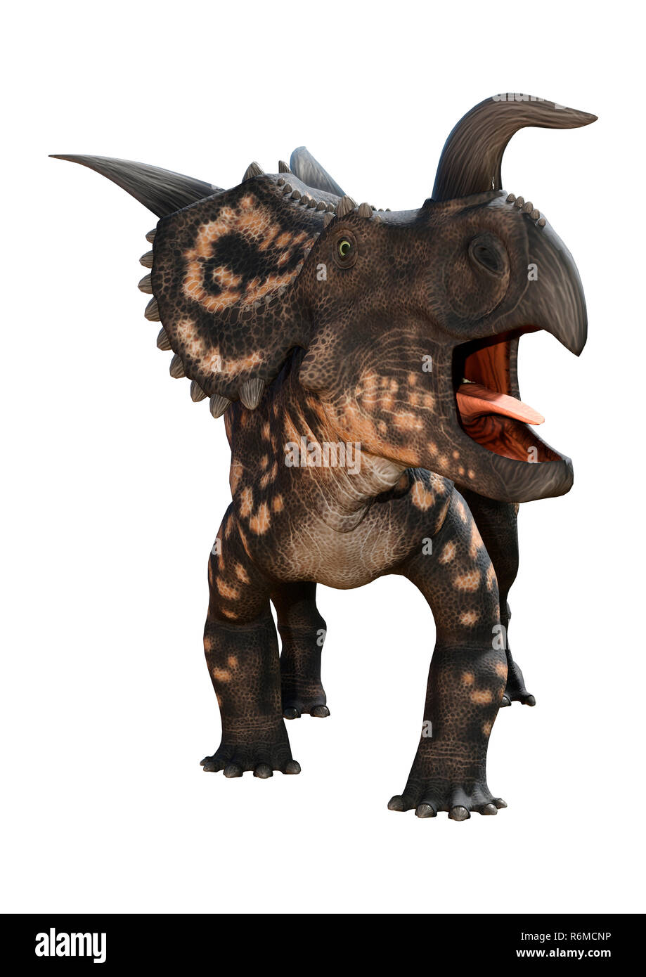 3D Rendering Dinosaur Einiosaurus on White Stock Photo - Alamy
