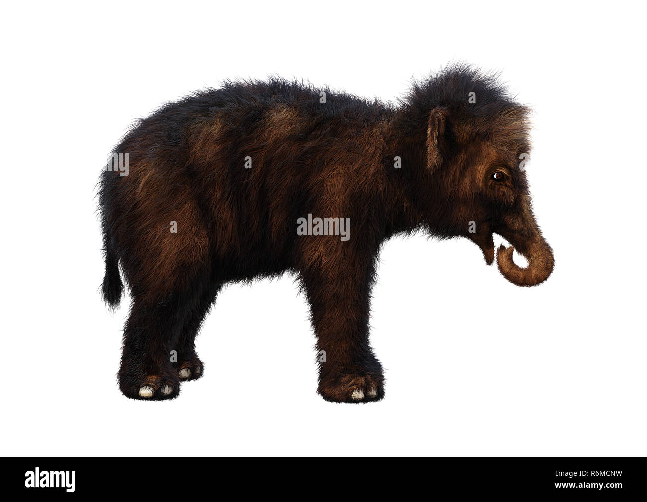 Baby woolly mammoth hi-res stock photography and images - Alamy