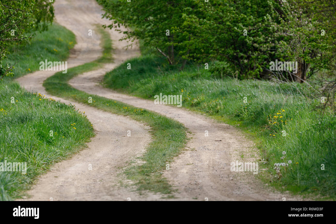 countryside rural forest path Stock Photo - Alamy