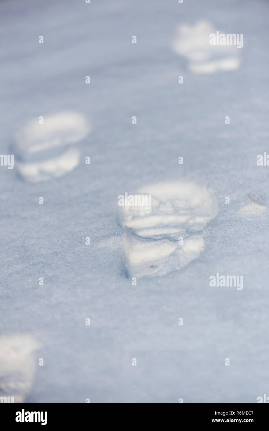 One foot in front of the other hi-res stock photography and images - Alamy
