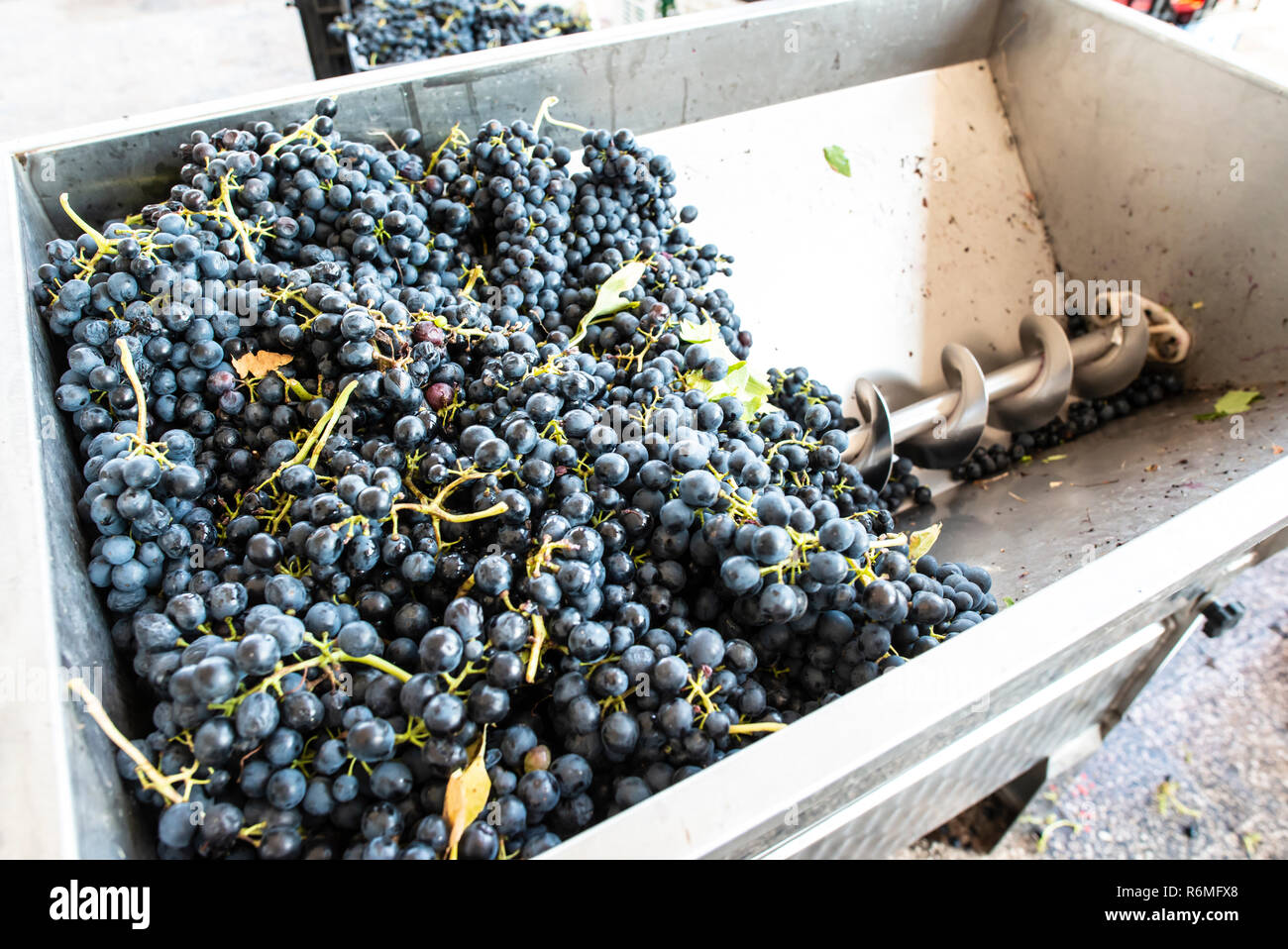 Grape crushing destemmer hi-res stock photography and images - Alamy