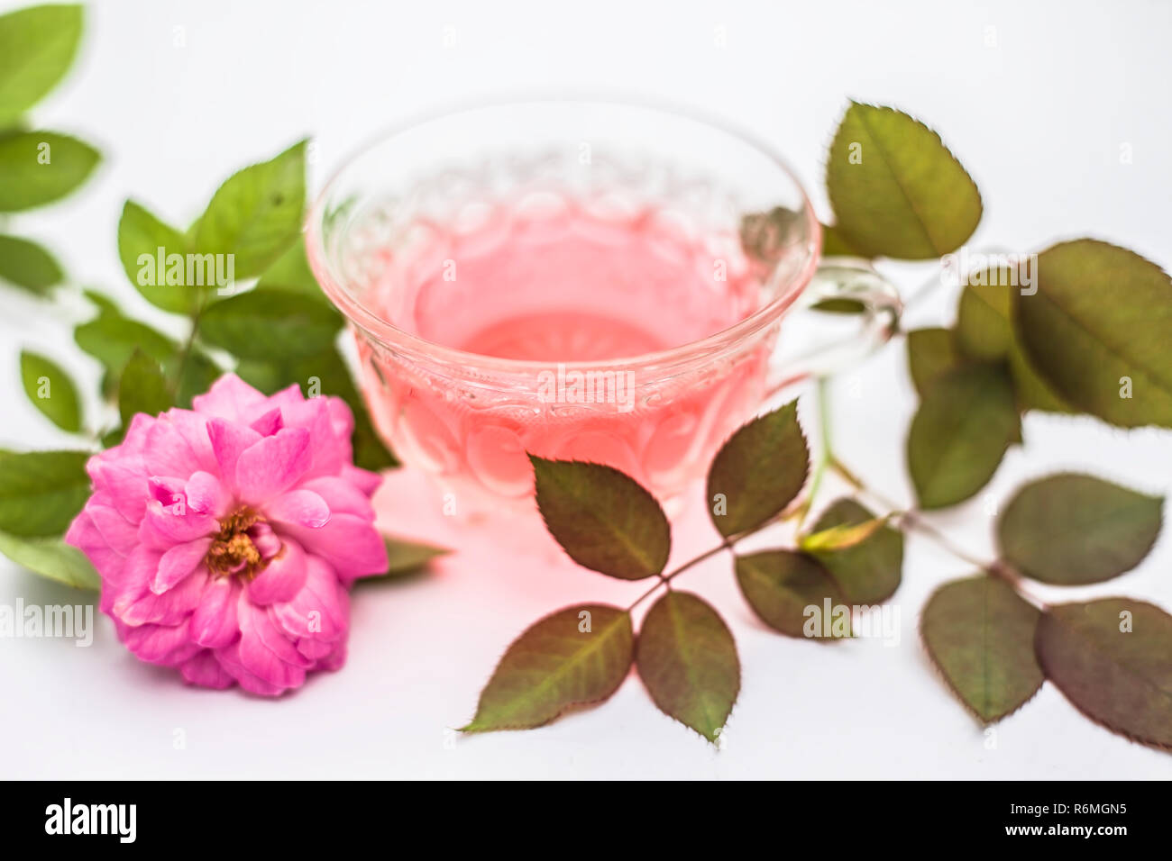 Close up of Rose tea of pink color with rosa petals isolated on withe ...