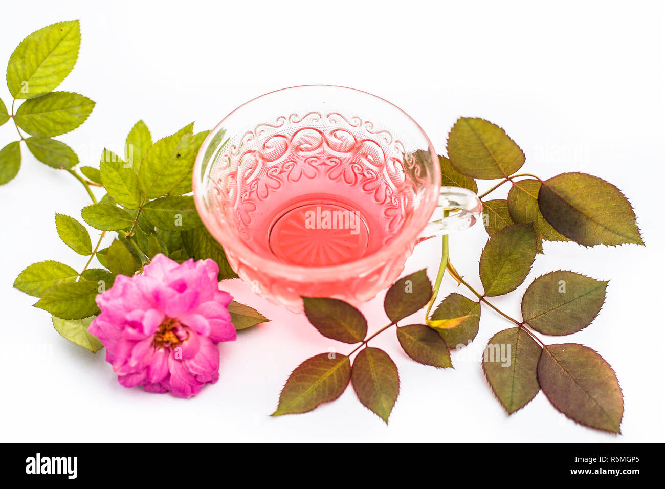 Close up of Rose tea of pink color with rosa petals isolated on withe ...