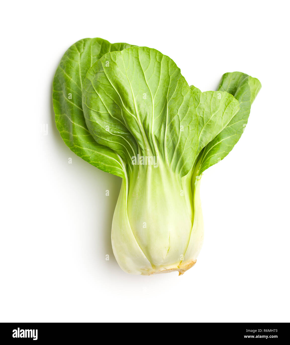 Fresh pak choi cabbage Stock Photo - Alamy
