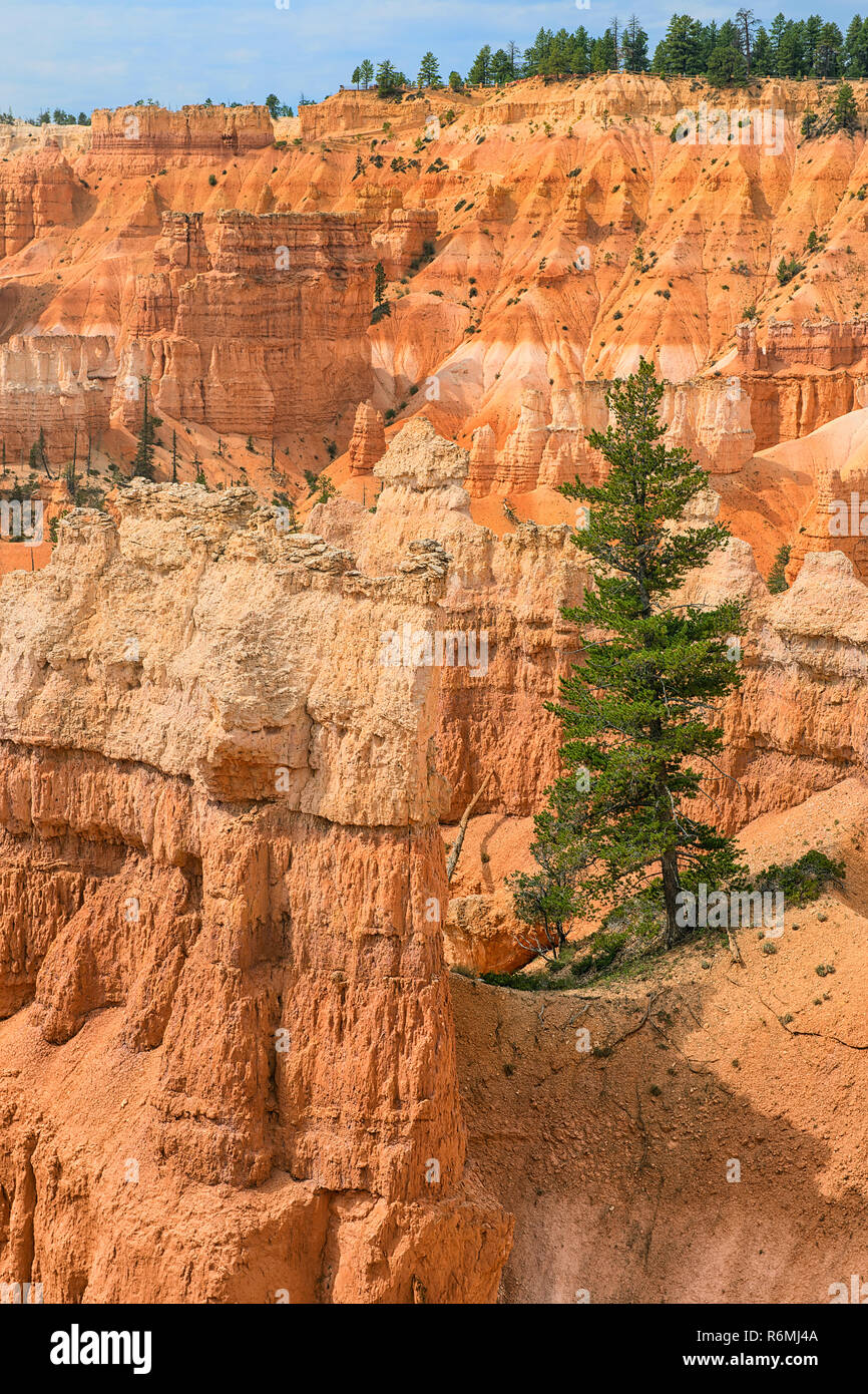 bryce canyon national park,utah: large rock pyramids on the queens ...
