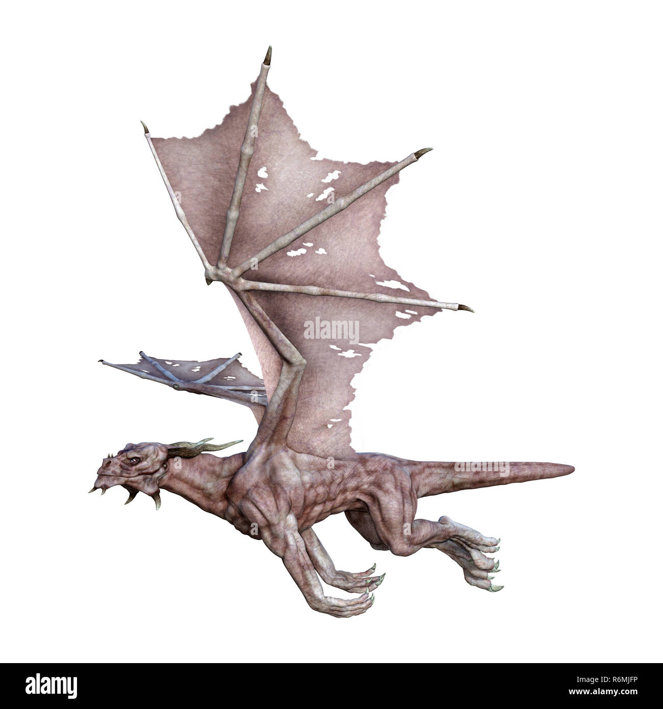 3D Rendering Fantasy Vampire Dragon on White Stock Photo - Alamy