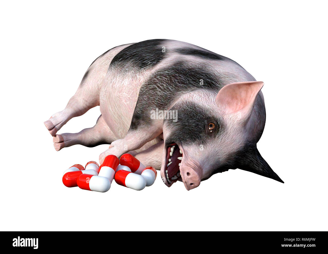 3D Rendering Pig and Pills on White Stock Photo - Alamy