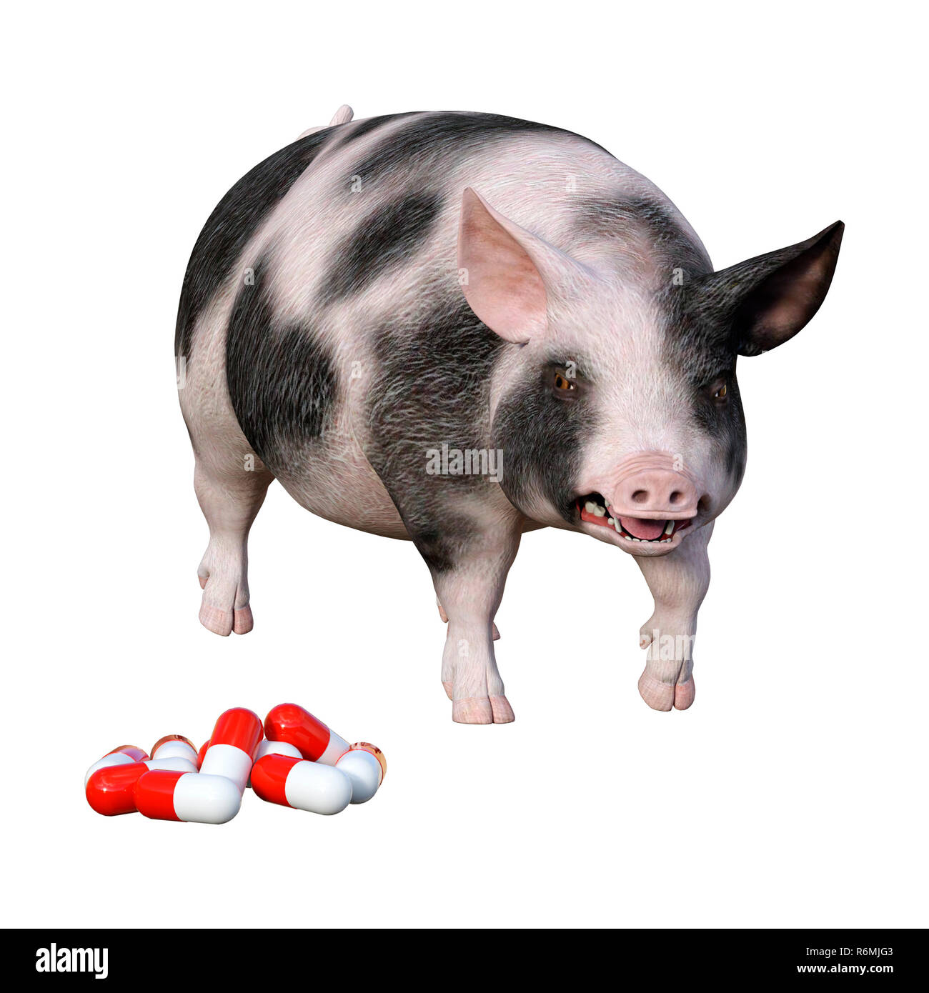 3D Rendering Pig and Pills on White Stock Photo - Alamy