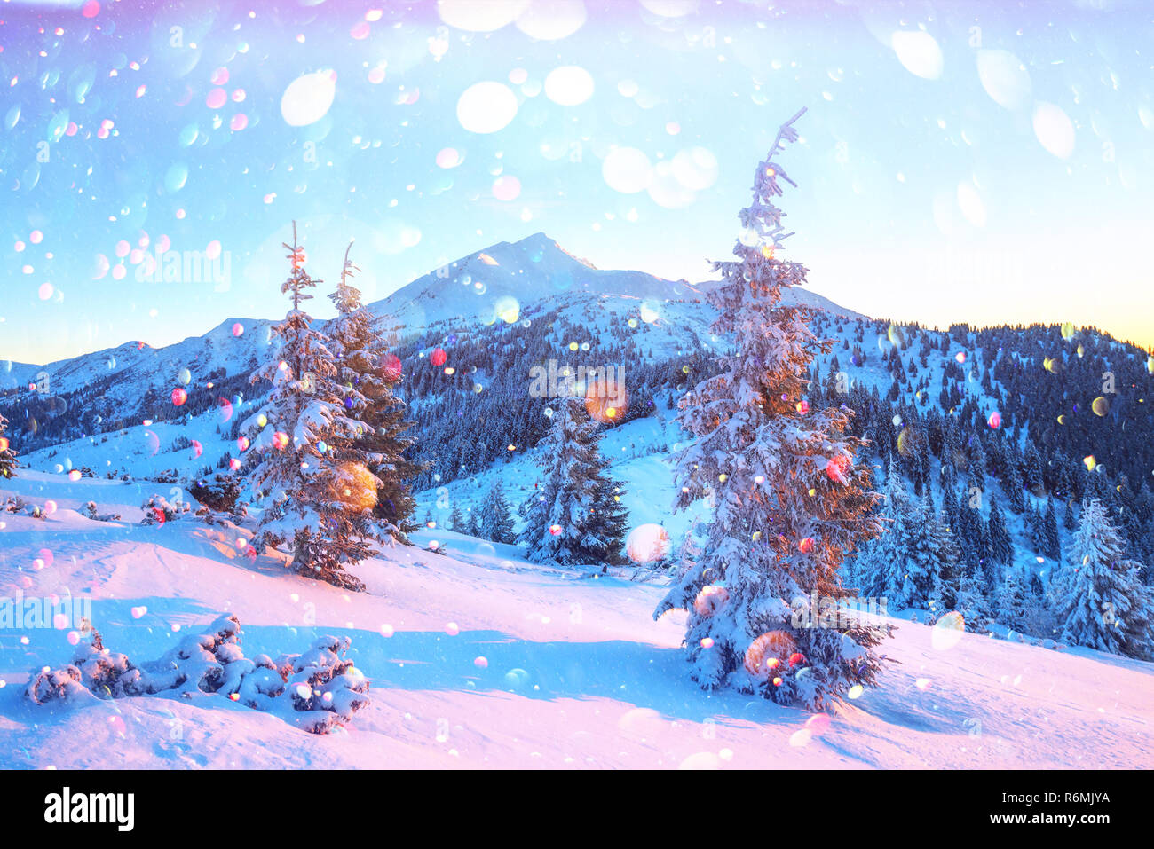 Fantastic winter landscape with snowy trees in high mountains. DOF bokeh light postprocessing ...
