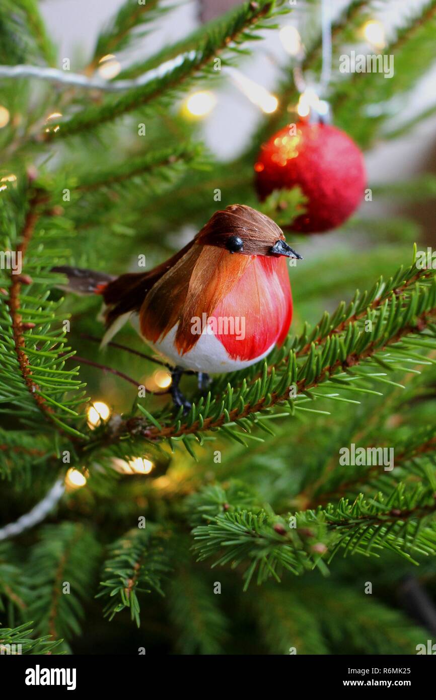 Christmas robin hi-res stock photography and images - Alamy