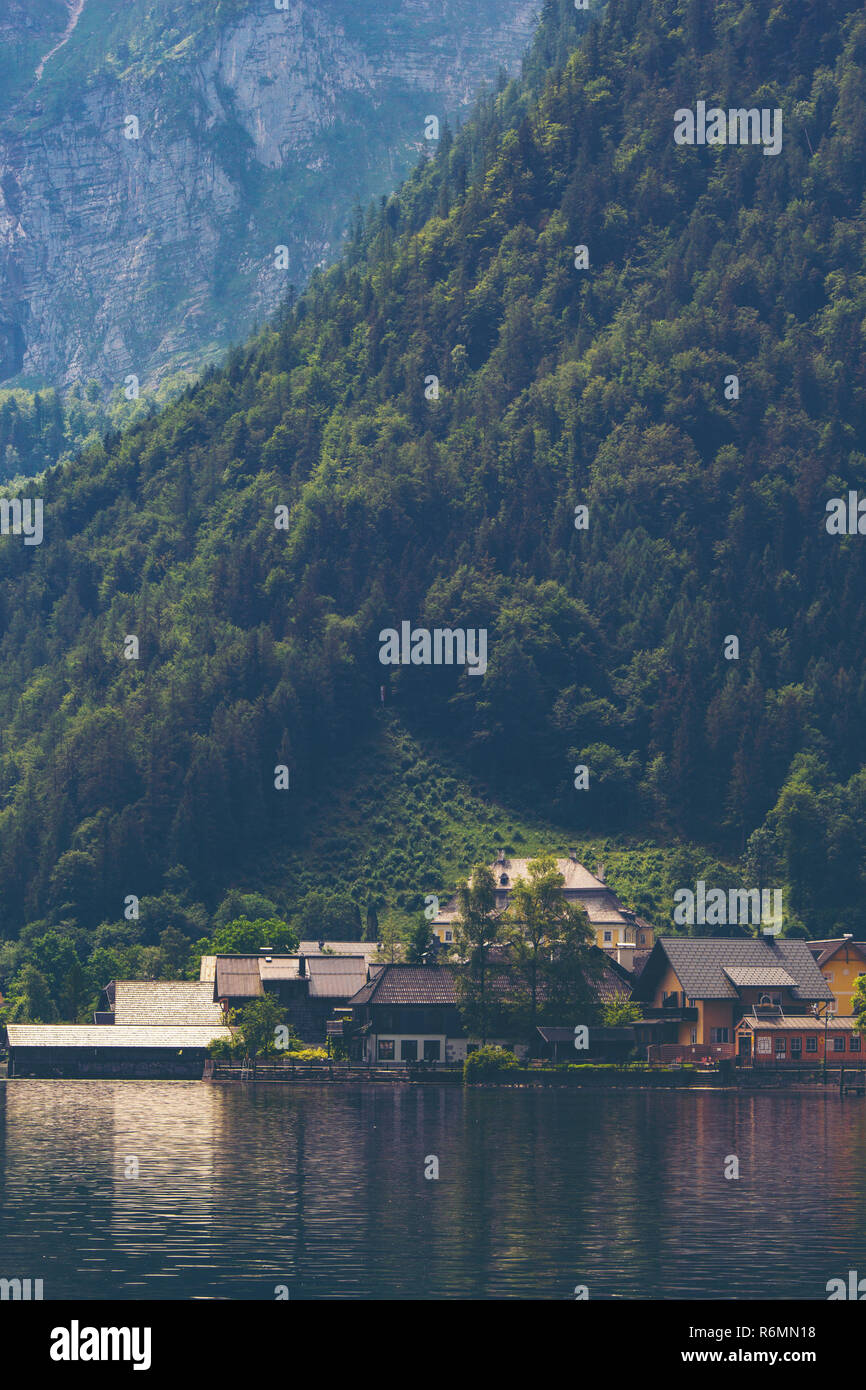 nature plant wall, nature building concept Stock Photo - Alamy