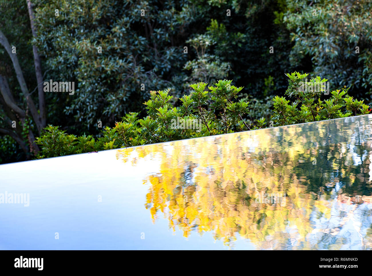 infinity edge pool reflecting nature Stock Photo - Alamy