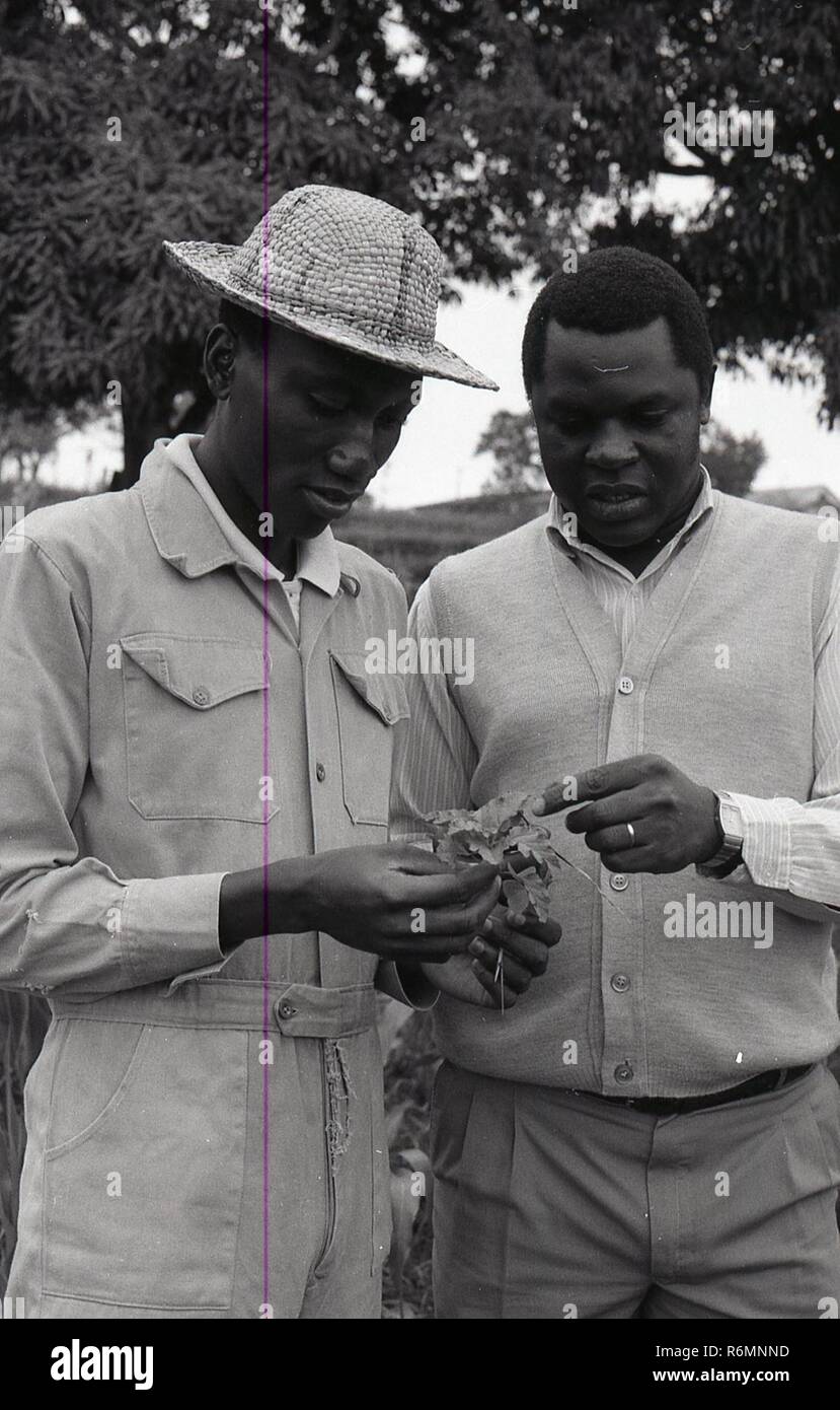 Two men speaking in the field Stock Photo - Alamy